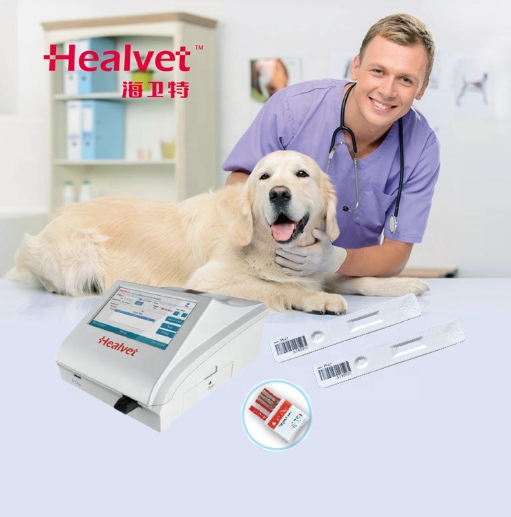 Easy To Use HbA1c Immunoassay Analyzer Progesterone Test Dog Machine ...